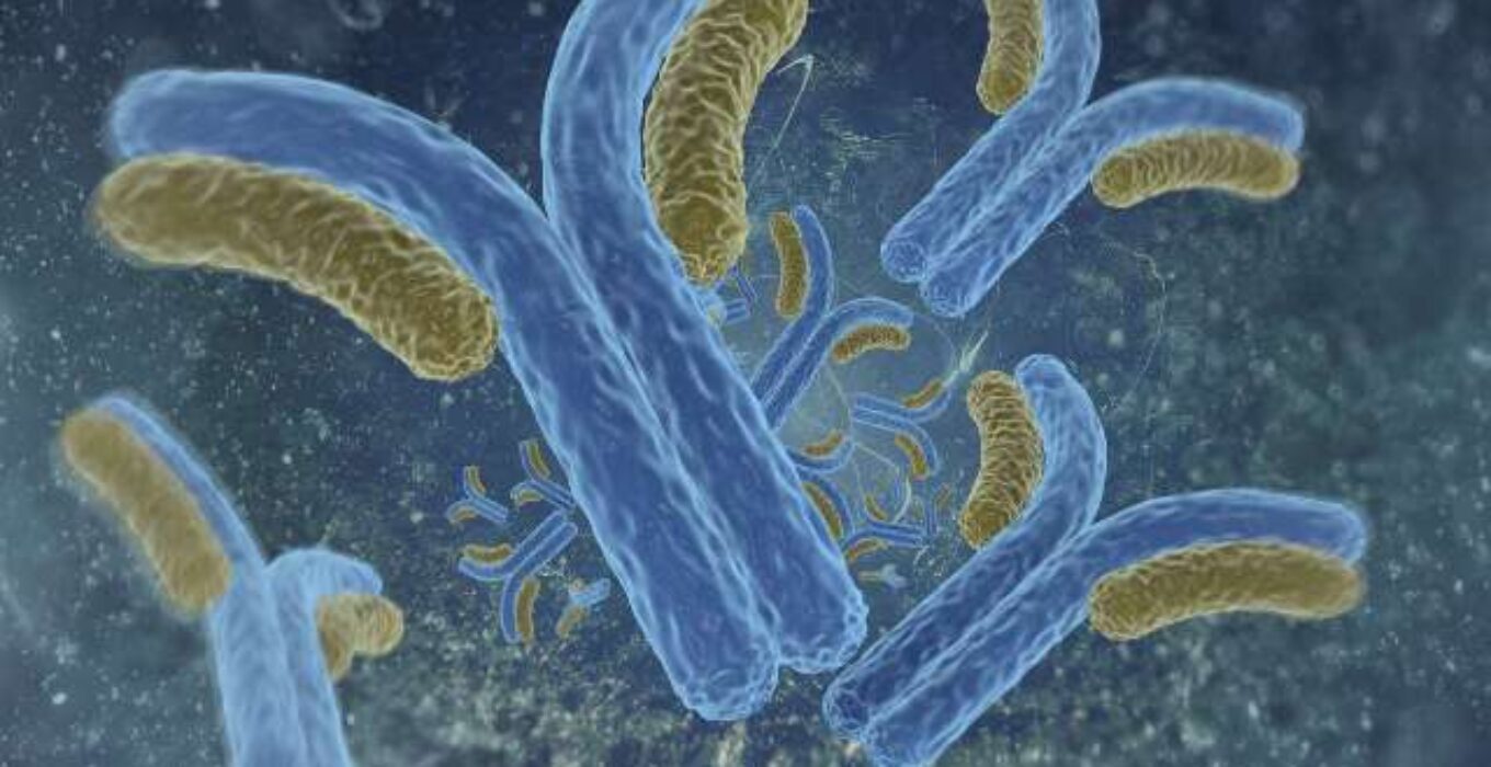 Bence-Jones Proteini Testi - Emar Tomografi